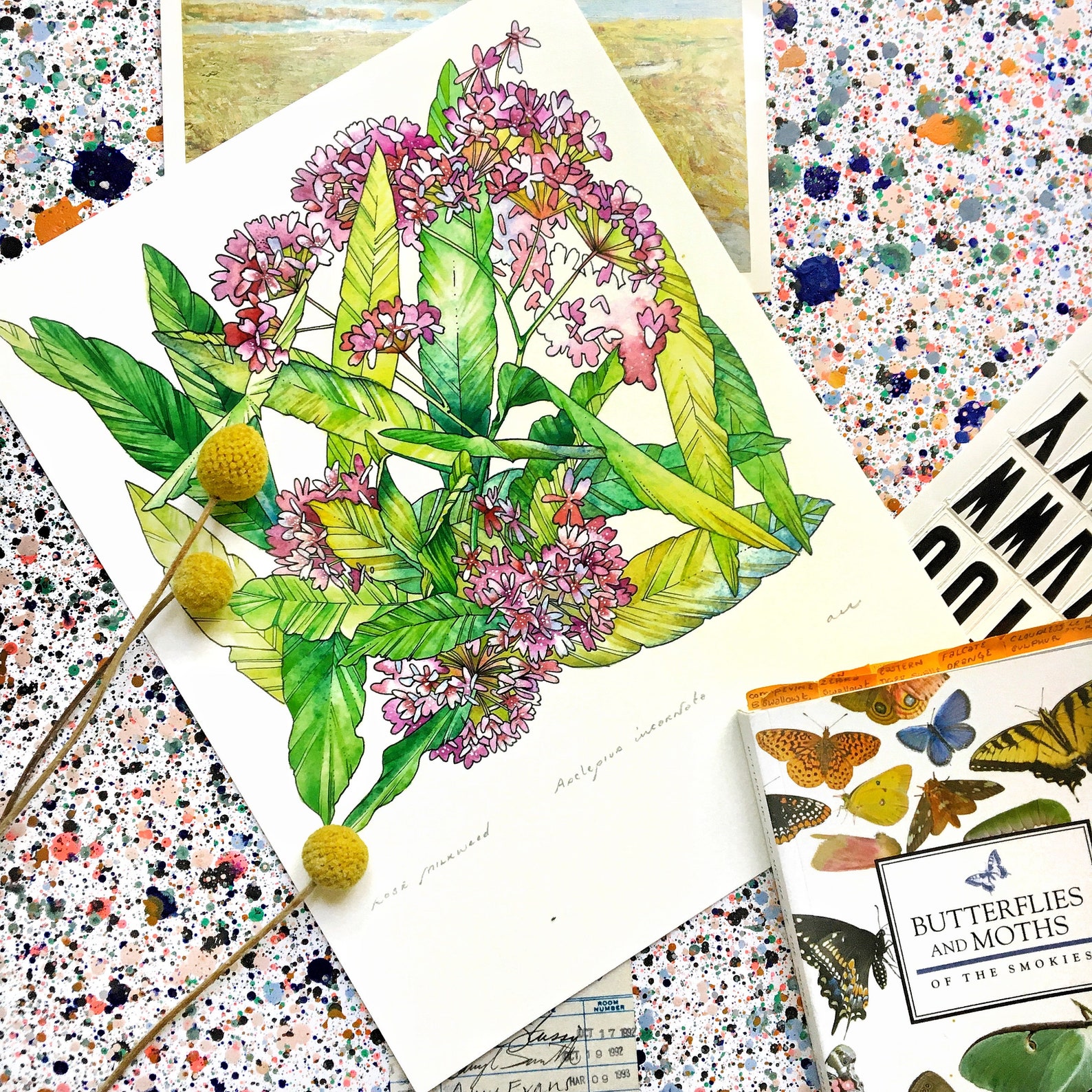 Milkweed Print, Botanical Art Print, Native Species Art, Wildflower ...