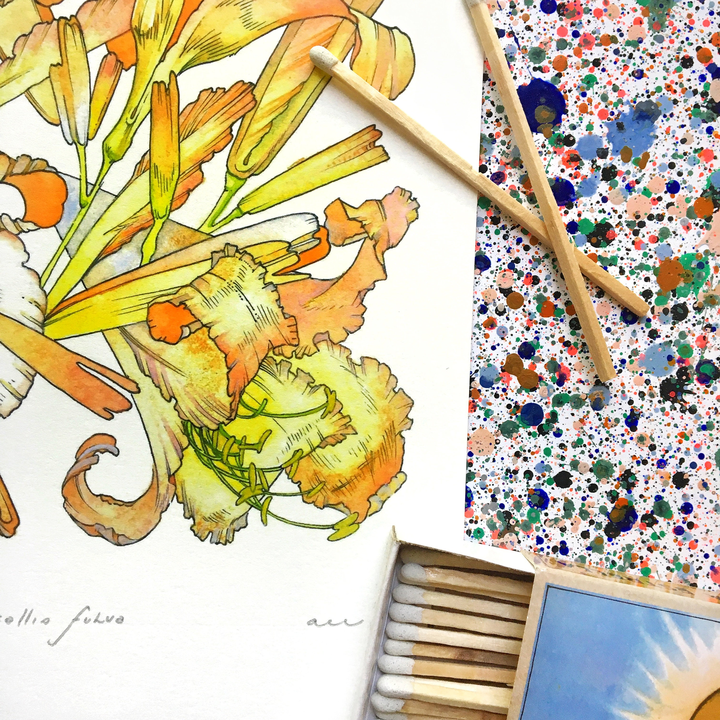 Daylily Print Botanical Illustration Flower Archival Print - Etsy