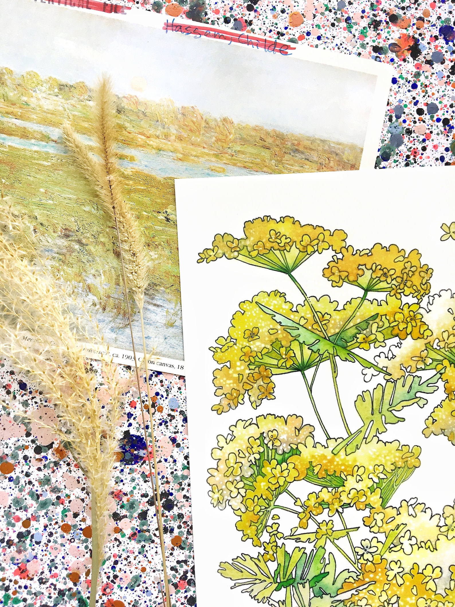 Midsummer Print Collection, 8 Plant Prints Botanical Illustration ...