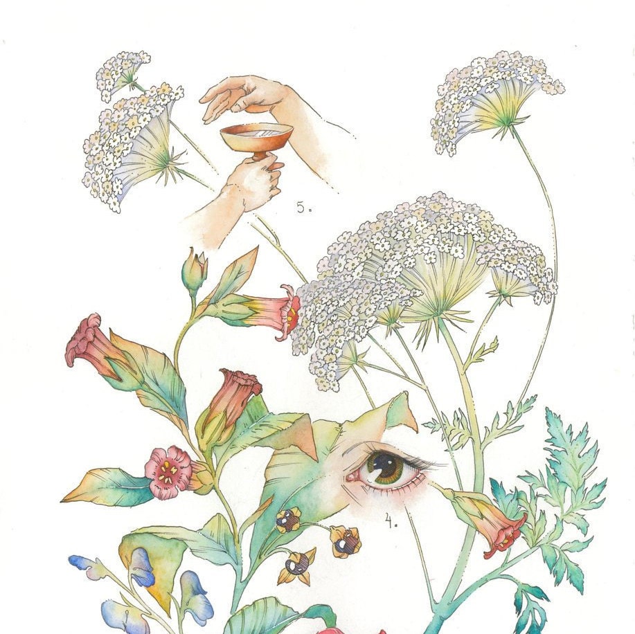 Witchs Bouquet Herbalism Print Witchy Botanical Print Wise - Etsy