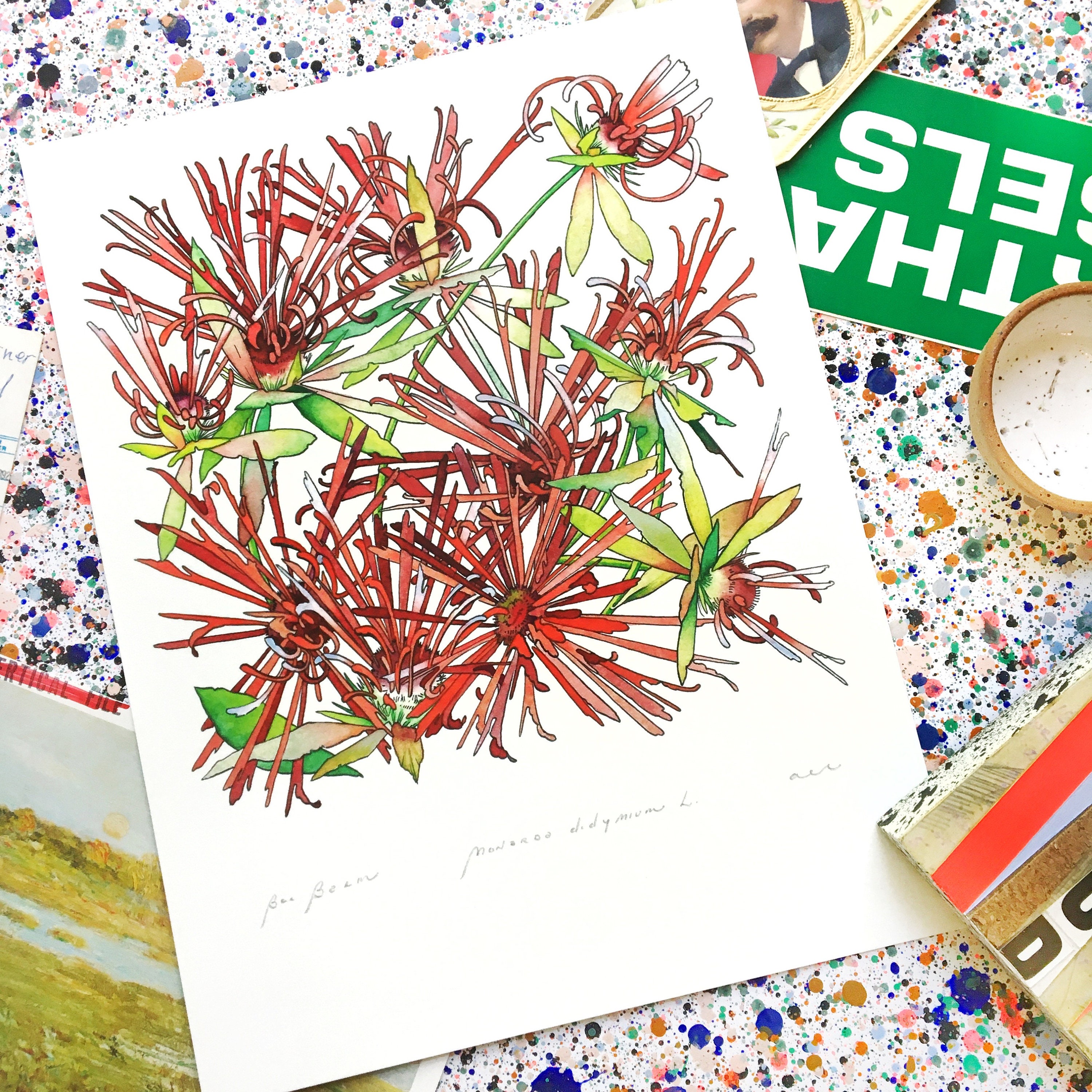 Bee Balm Print, Botanical Art Print, Native Species Art, Wildflower ...