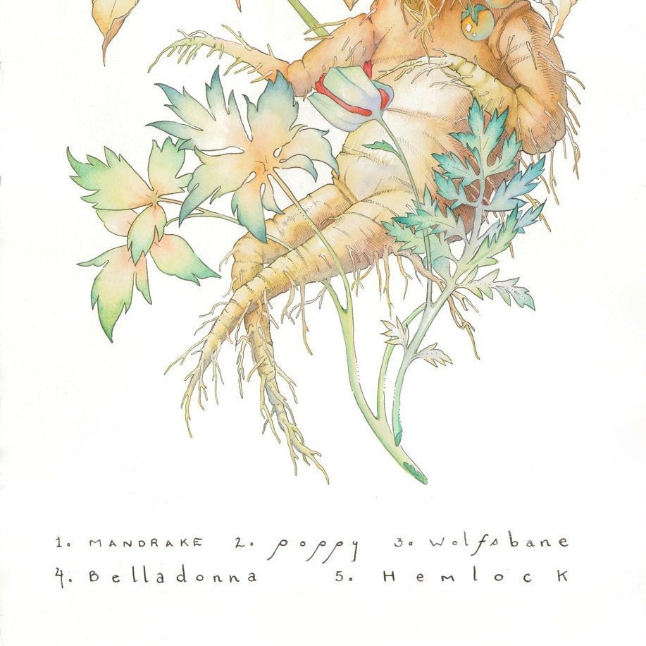 Witchs Bouquet Herbalism Print Witchy Botanical Print Wise - Etsy