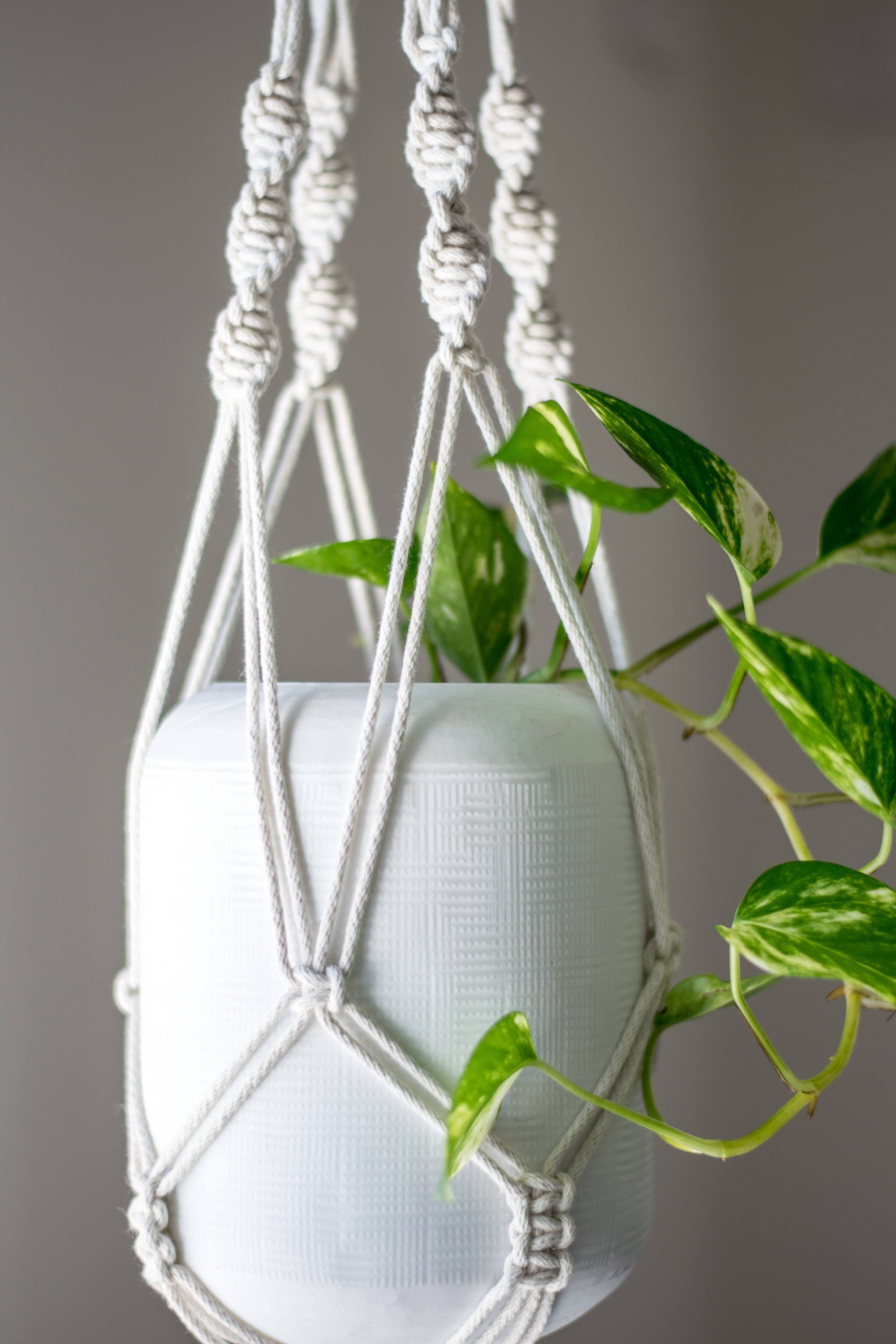 Macrame Plant Hanger, Pot Plant Holder, Boho Fibre Art - Etsy