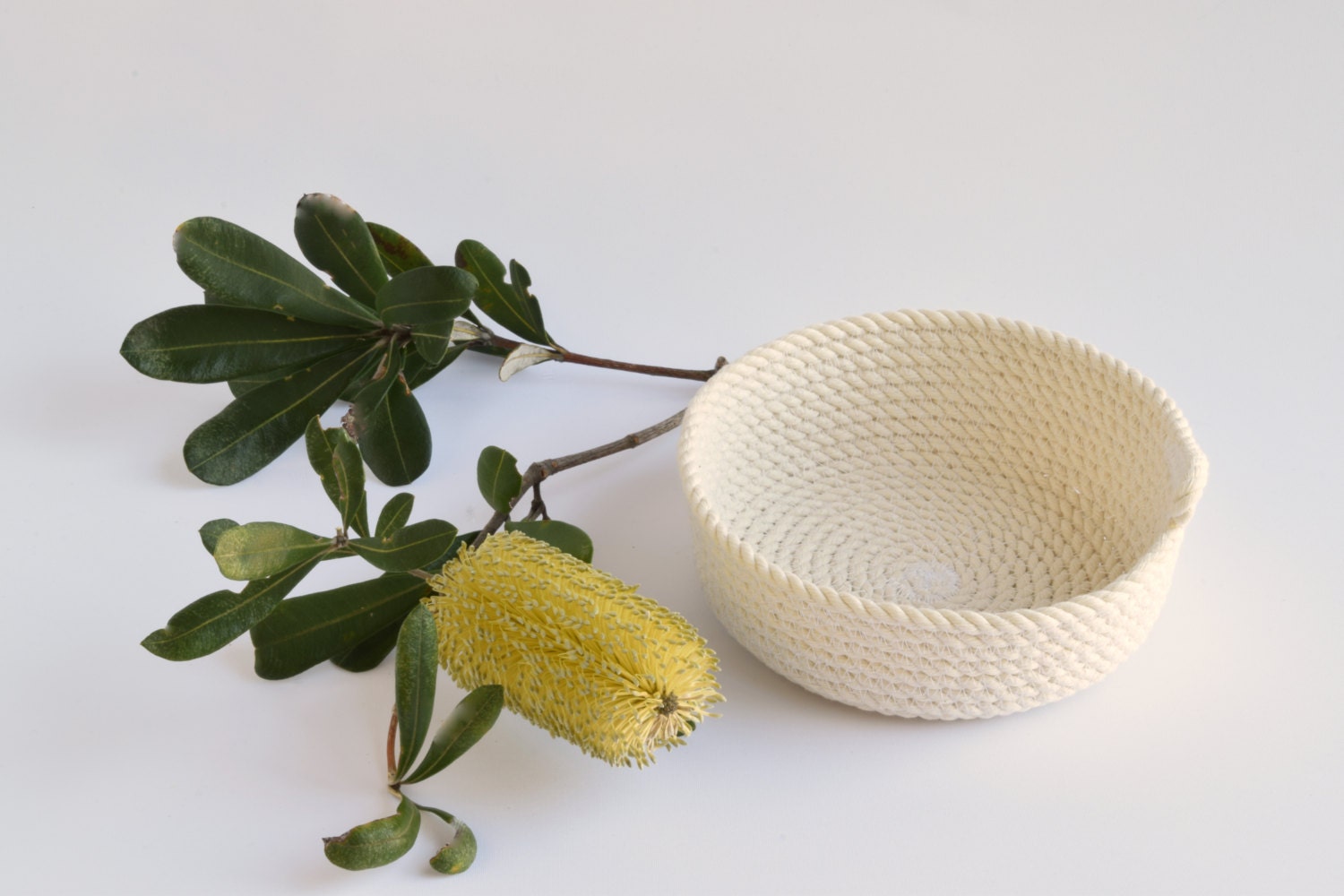 Small Rope Basket White Storage Basket Rope Bowl Cotton - Etsy