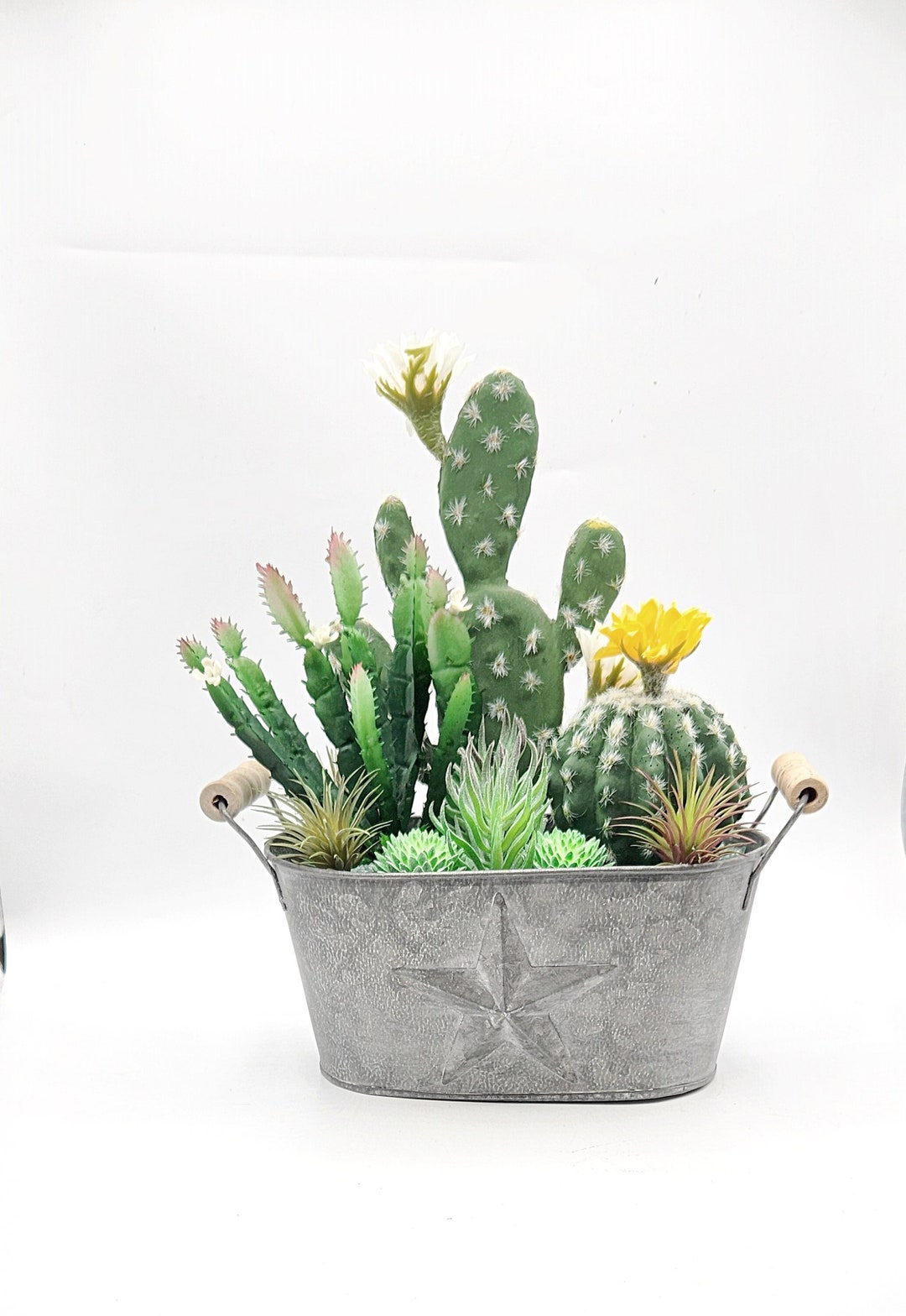 Realistic Artificial Cactus Garden Potted Arrangement From Succulent ...