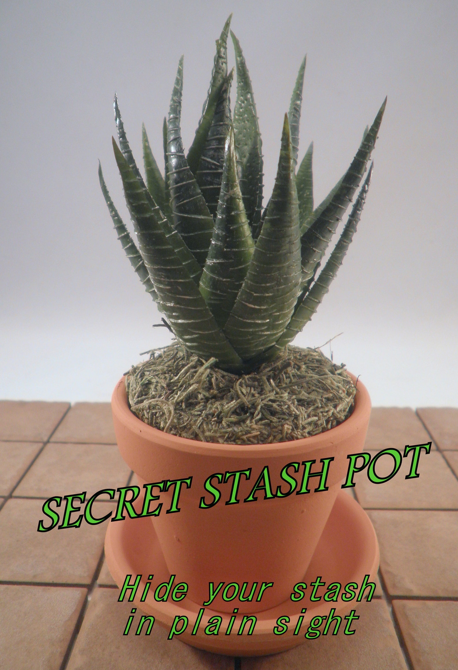 SECRET STASH Faux Succulent Hide-a-key Pot 7-1/2 - Etsy