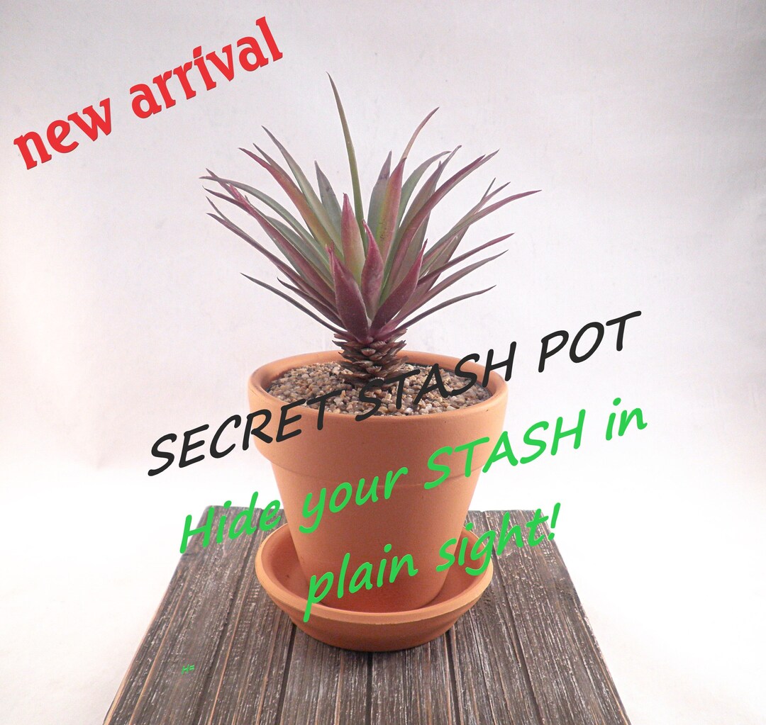SECRET STASH Faux Succulent Hide-a-key Pot 9-1/2 Tall X 4-1/4 Wide hide ...