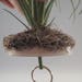 SECRET STASH Faux Succulent Hide-a-key Pot 7-1/2 - Etsy
