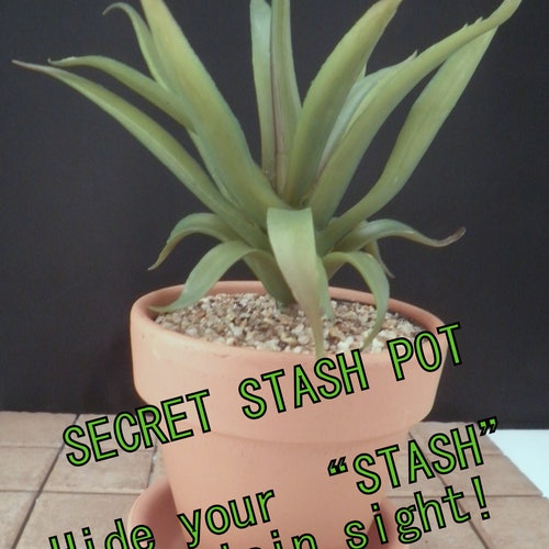 SECRET STASH Faux Succulent Hide-a-key Pot 7-1/2 - Etsy