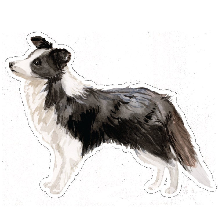 Border Collie Sticker/Waterproof Dog Sticker/Dog lover | Etsy