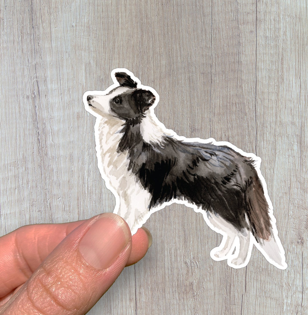 Border Collie Sticker/waterproof Dog Sticker/dog Lover - Etsy