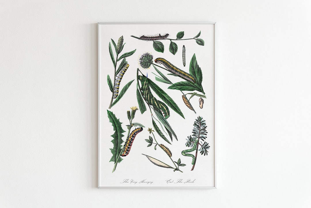 Printable Vintage Art With Typography Statement Botanical Print print ...