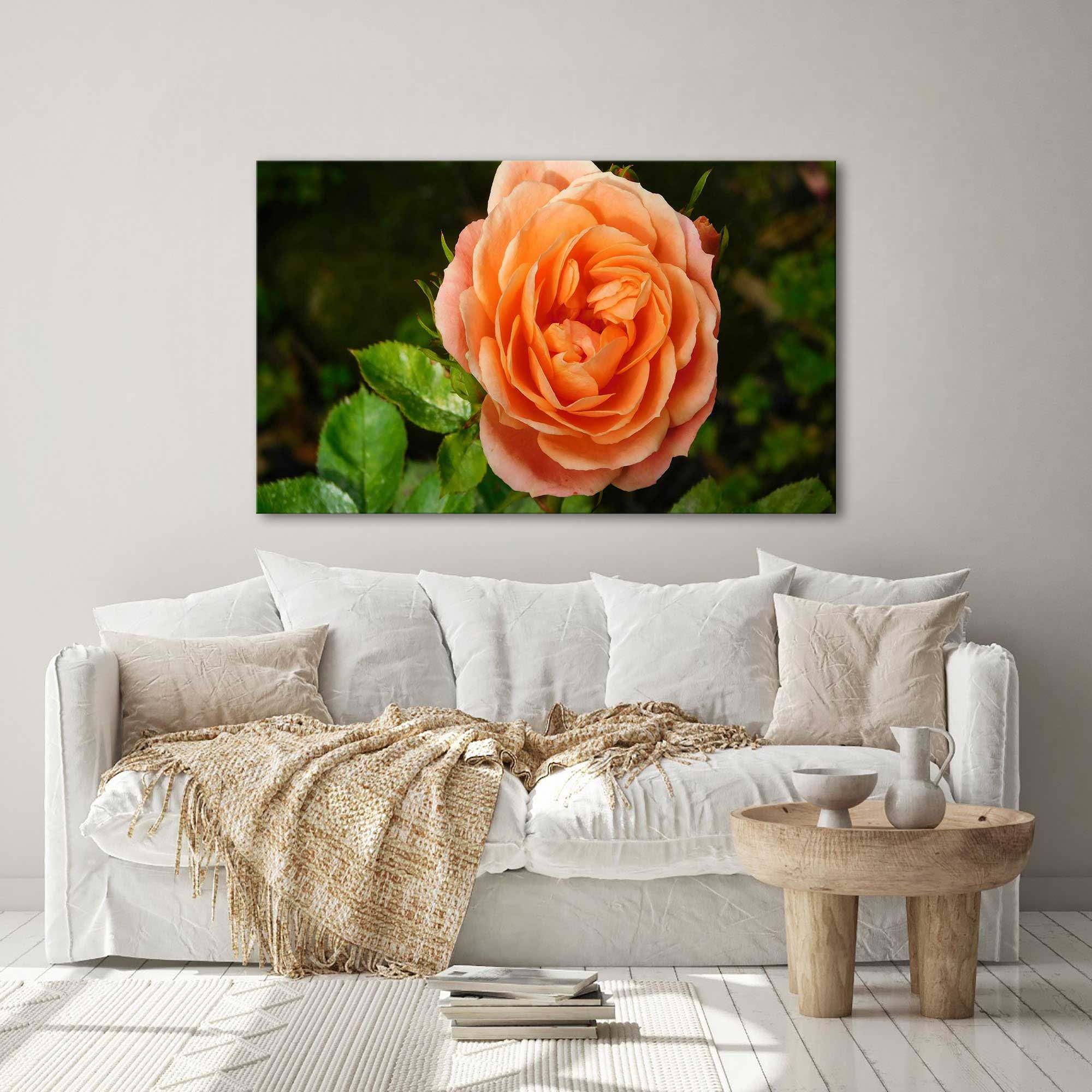 Peach Rose, Print on Canvas, Pantone Color of the Year Wall Art ...