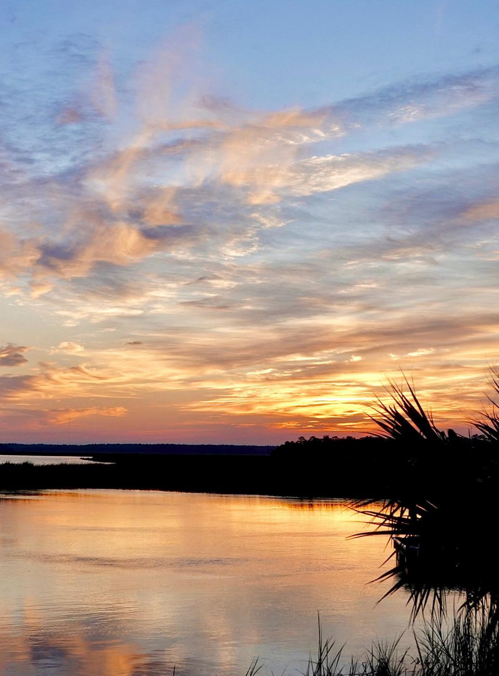 Folded Photo Notecards, Scenes From the Charleston SC Area. Sold ...