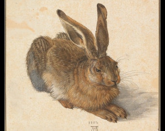 Durer Fine Art Reproduction. Young Hare, 1502 by Albrecht Durer. Fine ...