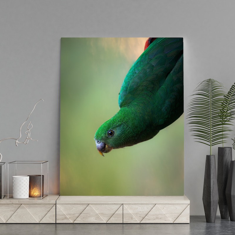 THEWILDSAVANNAH - Etsy Australia