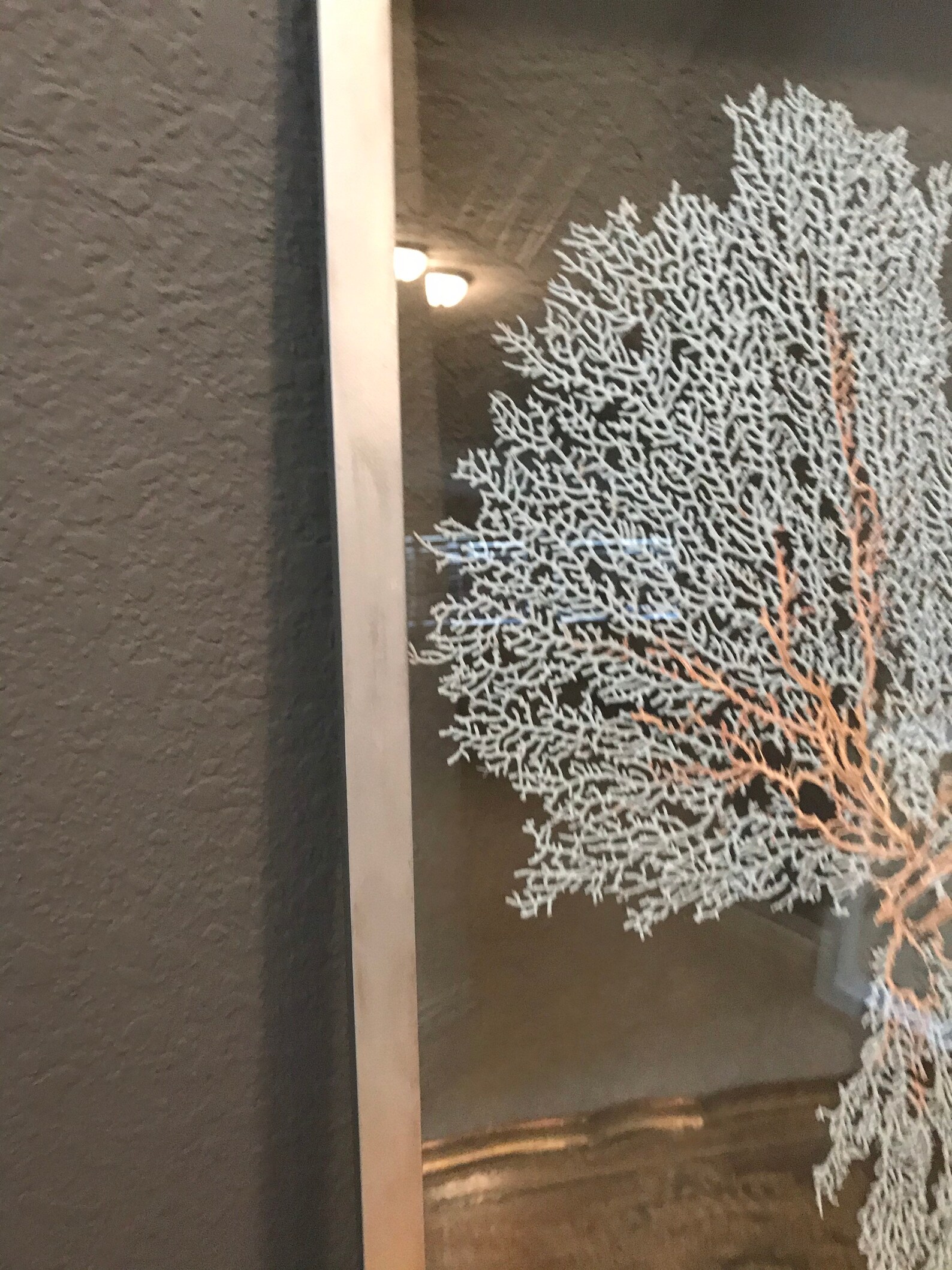 1 Framed Sea Fan - Spa Blue With Custom Color Frame 16x20” - Etsy