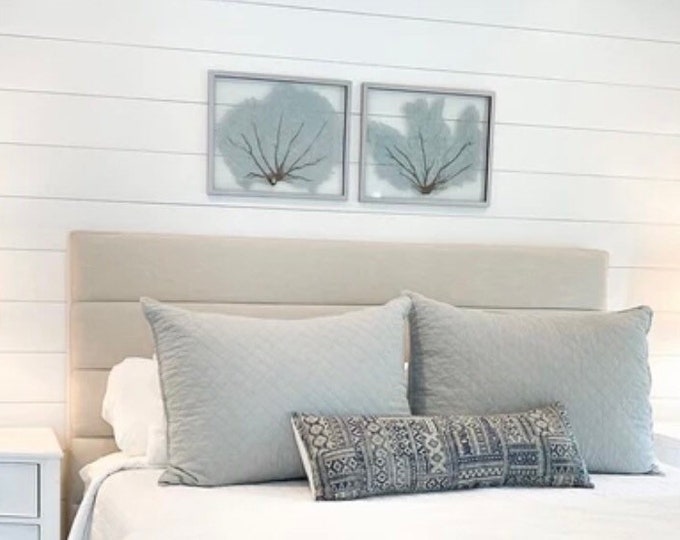Set of 2 Framed Sea Fans Custom Color Request - Etsy
