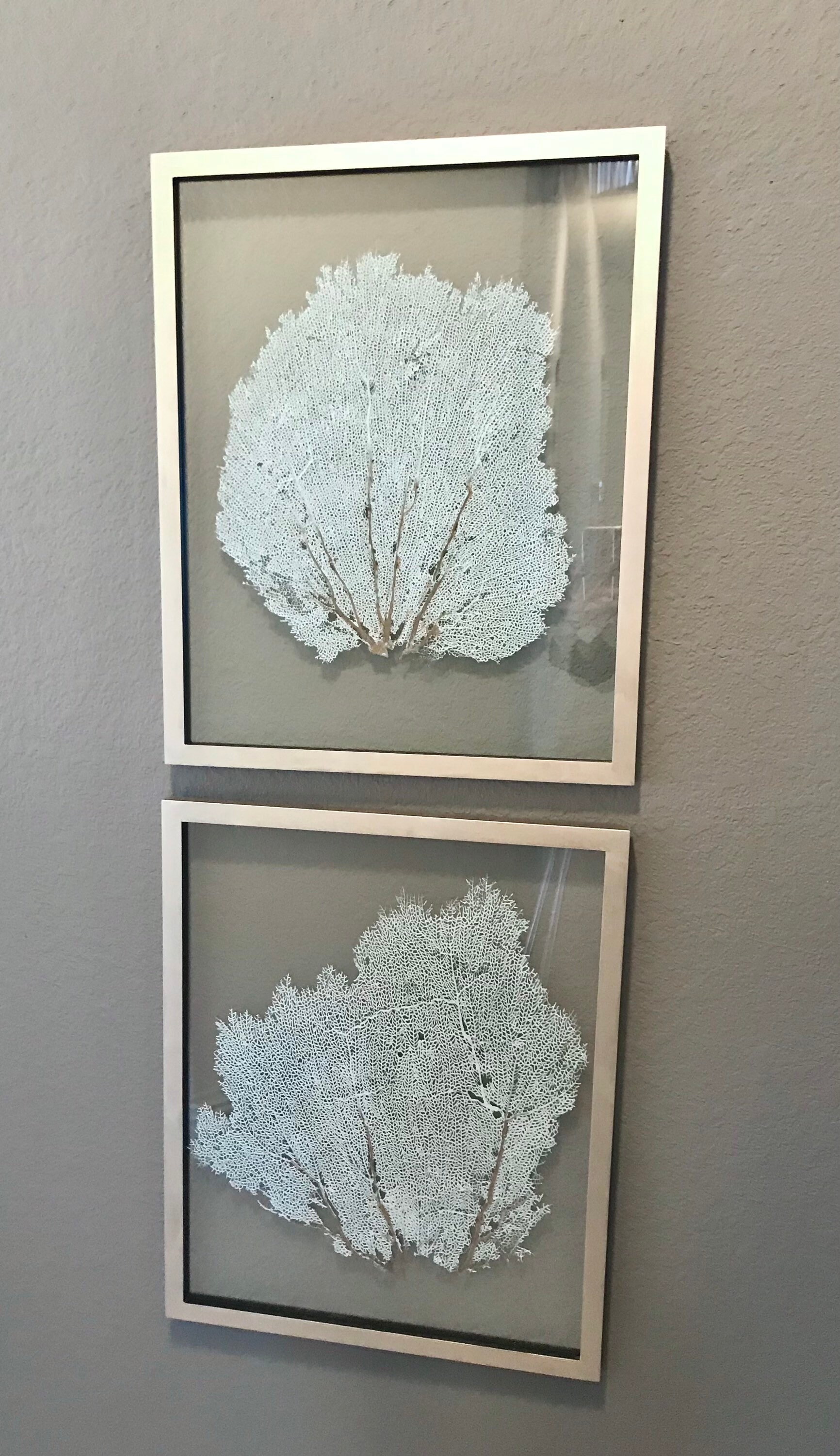 Pair 2 of Framed Sea Fans Custom Color with Custom Color | Etsy