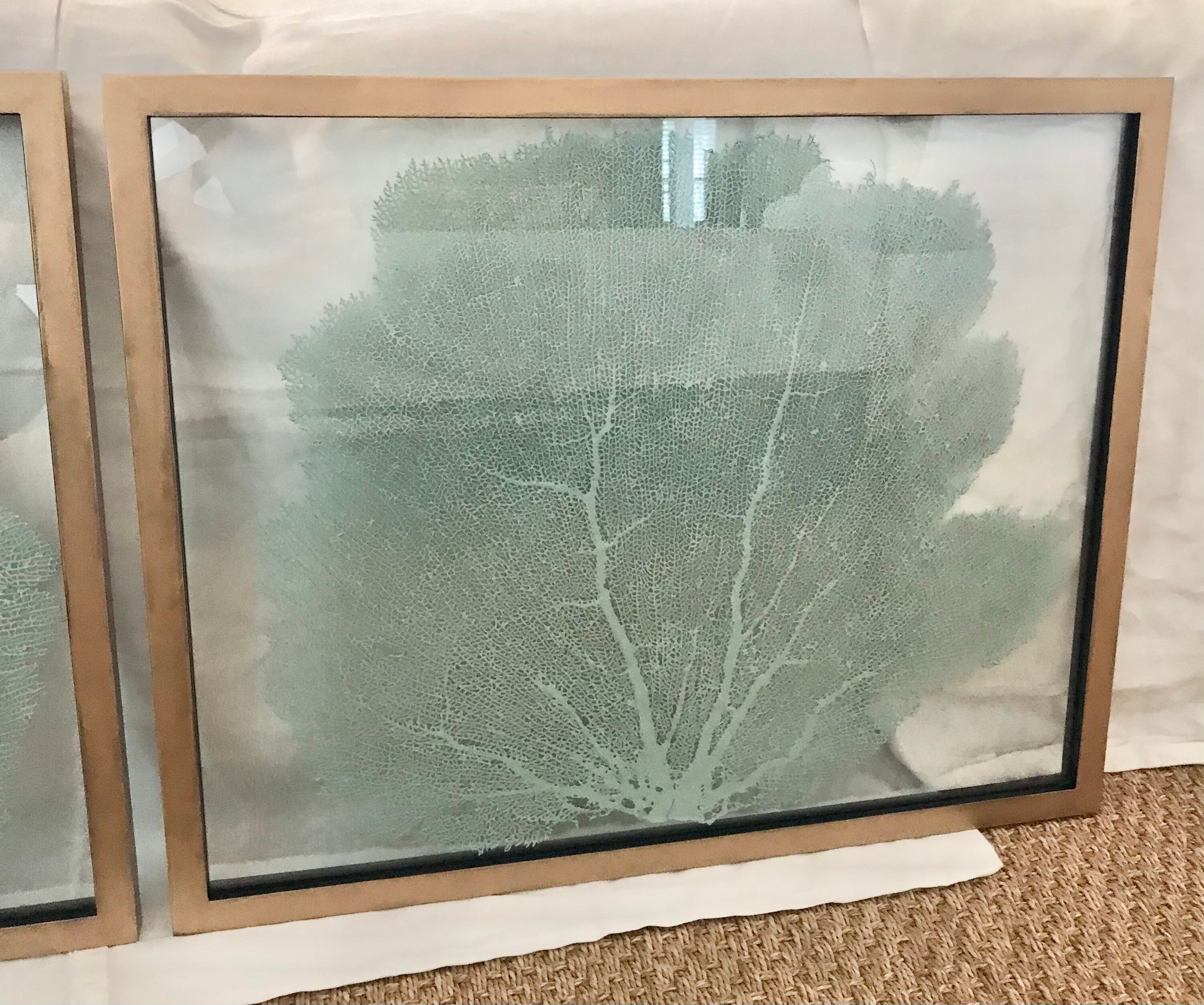 Pair (2) Framed Sea Fan Art - Wythe Blue Green - Etsy