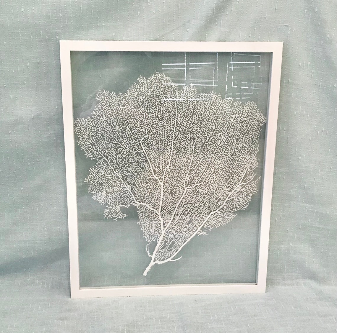 1 Framed Sea Fan White With Custom Color Frame 16x20 - Etsy