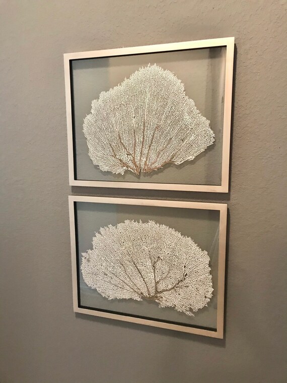 Pair 2 of Framed Sea Fans Custom Color With Custom Color - Etsy