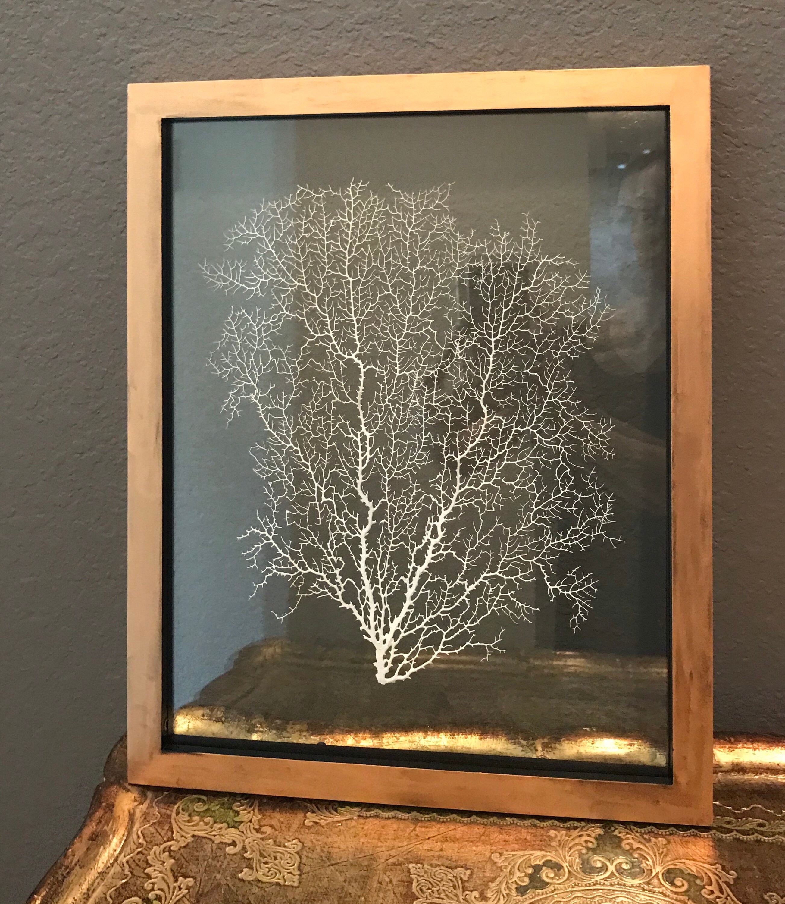 Pair 2 of Framed Sea Fans White With Custom Color Frame | Etsy