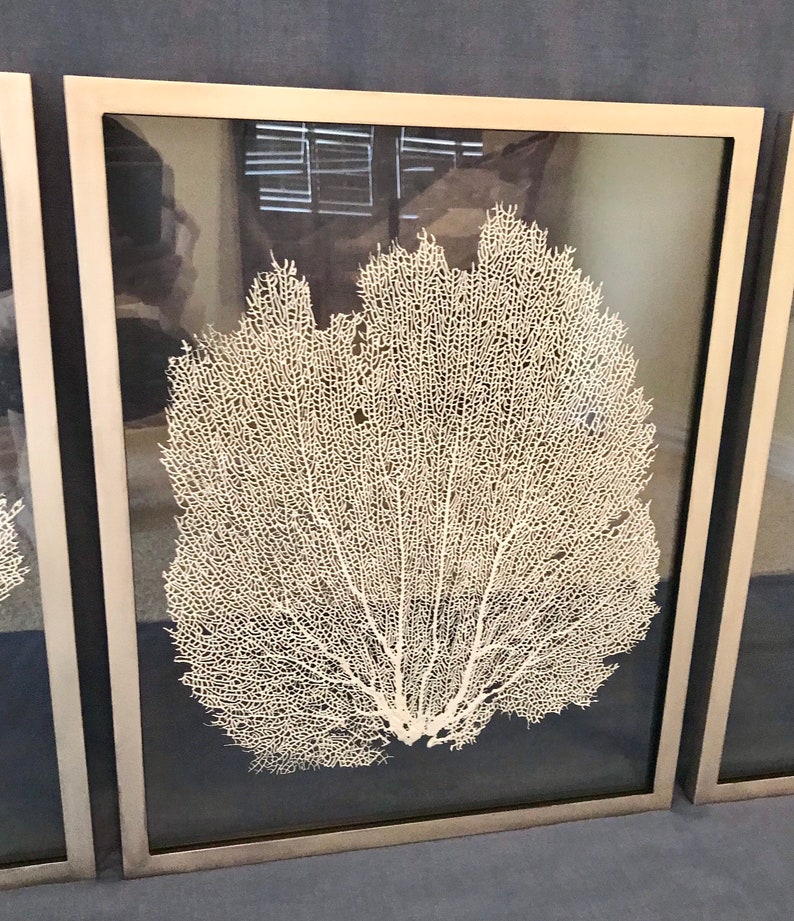 Pair 2 of Framed Sea Fans White With Custom Color Frame - Etsy