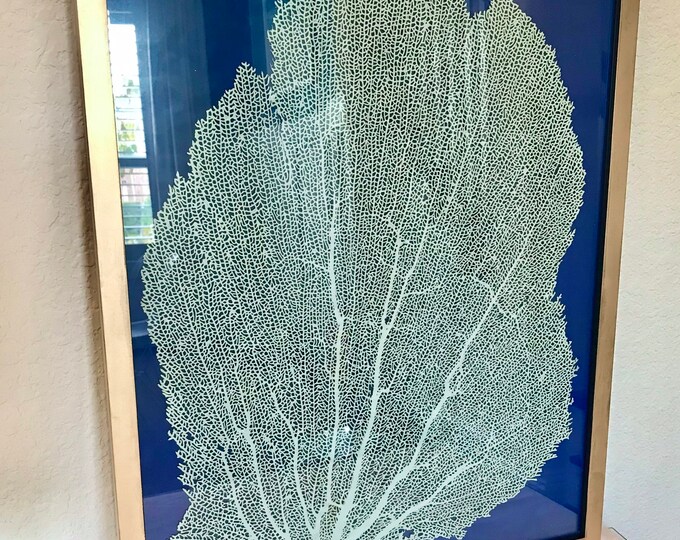 Framed Sea Fan, Coral - Etsy