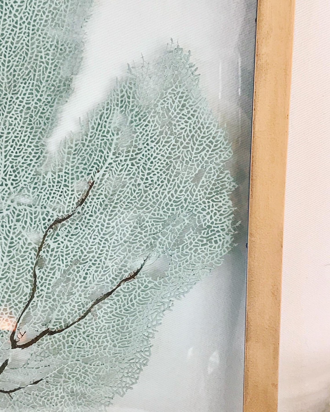 Pair (2) Framed Sea Fan Art - Wythe Blue Green - Etsy