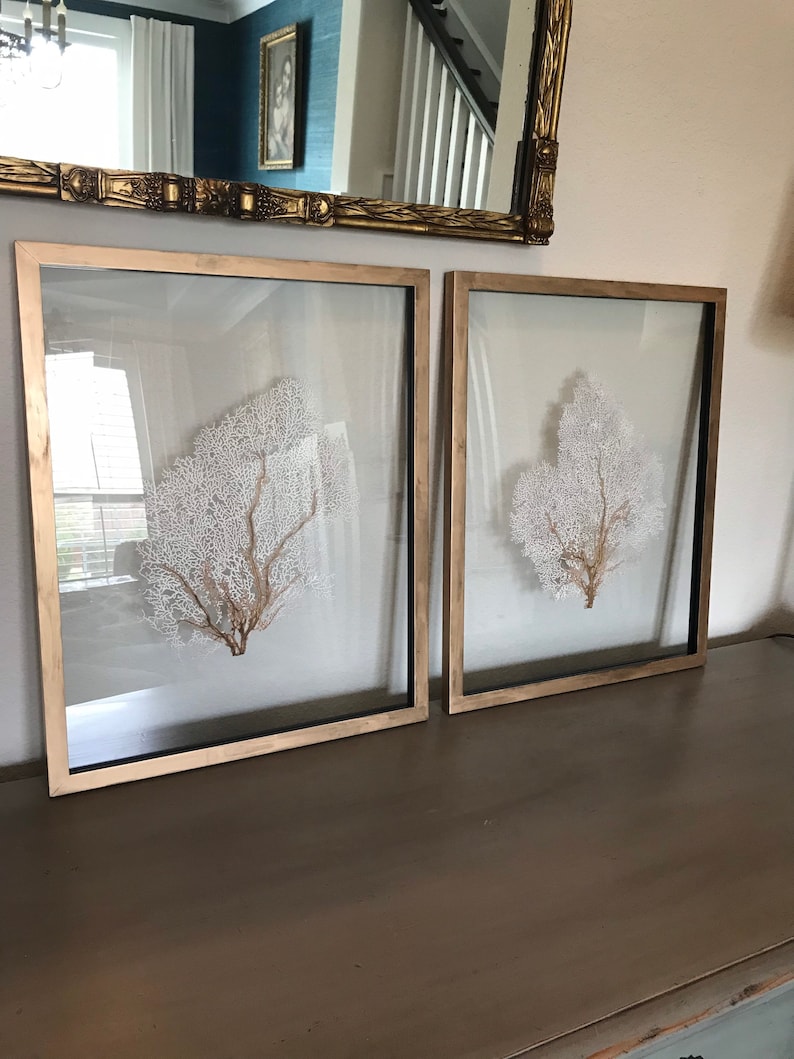 Pair 2 of Framed Sea Fans White With Custom Color Frame 16x20 - Etsy