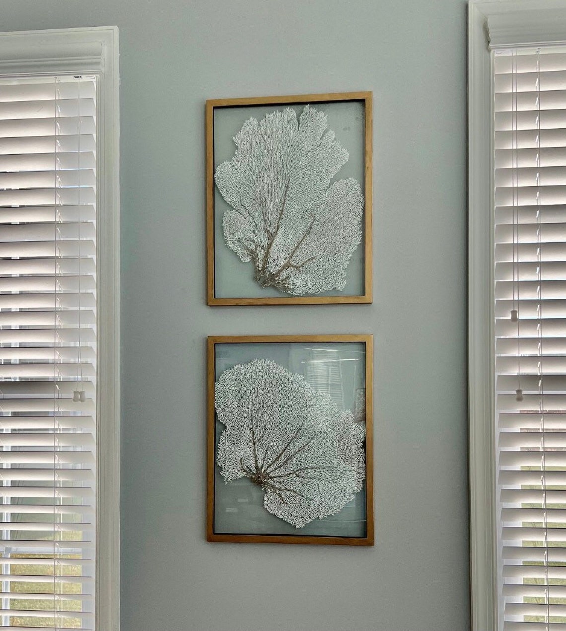Pair 2 of Framed Sea Fans White With Custom Color Frame | Etsy