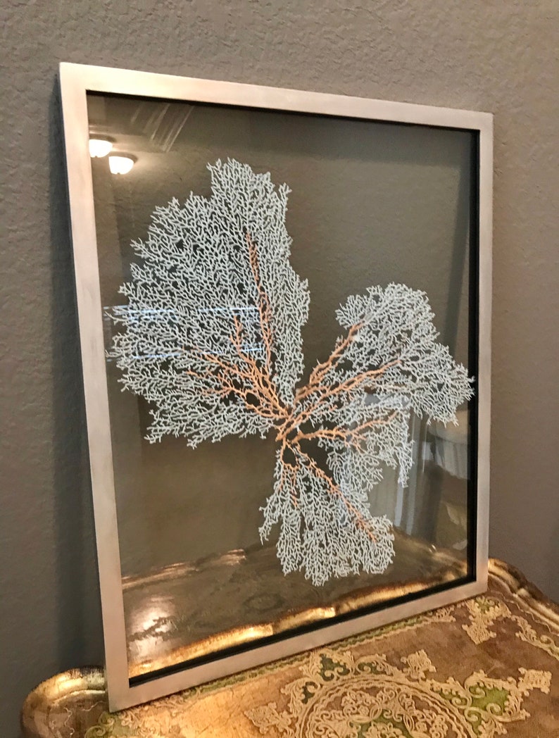 1 Framed Sea Fan - Spa Blue With Custom Color Frame 16x20” - Etsy