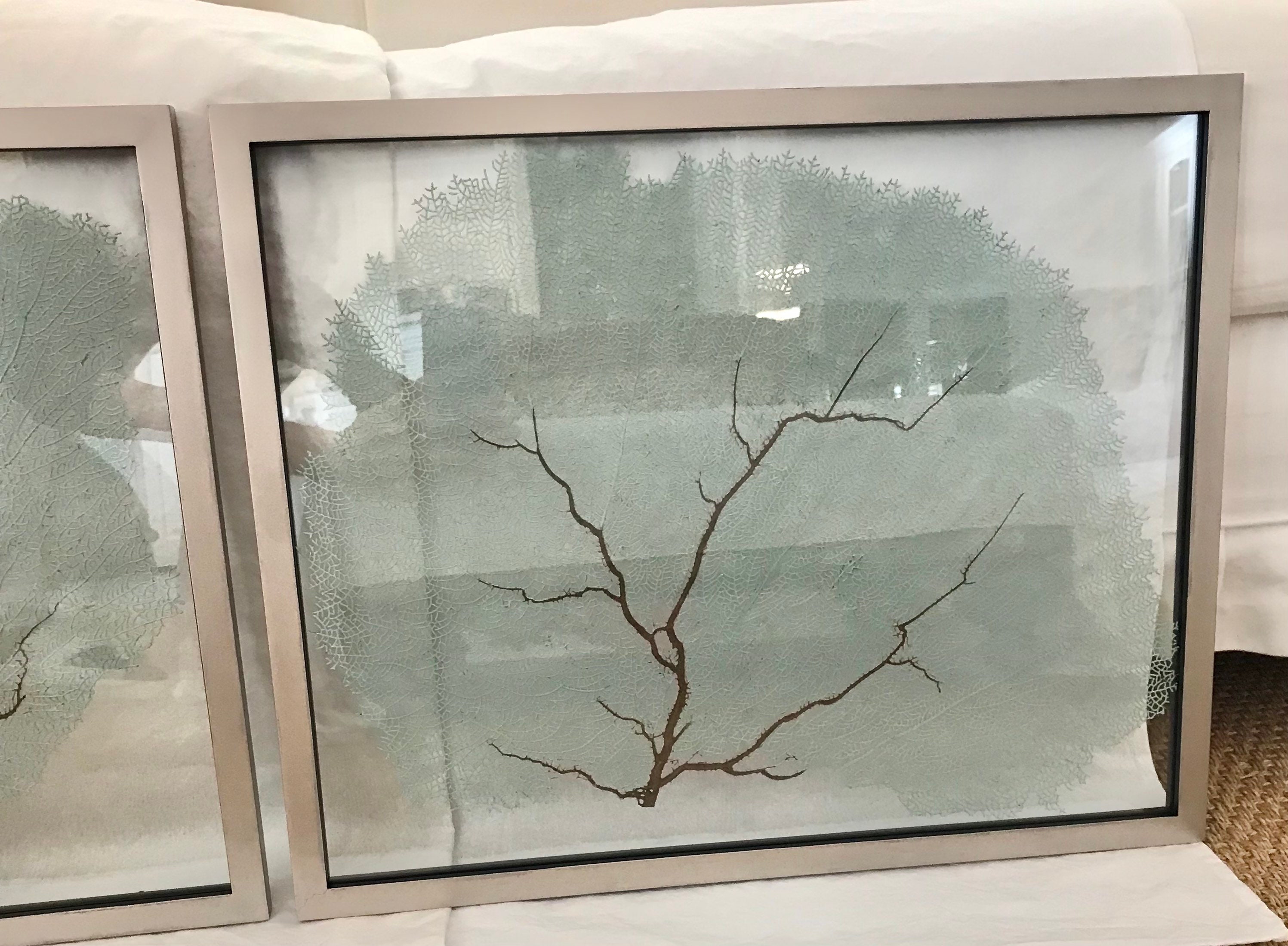 Pair (2) Framed Sea Fan Art - Wythe Blue Green - Etsy