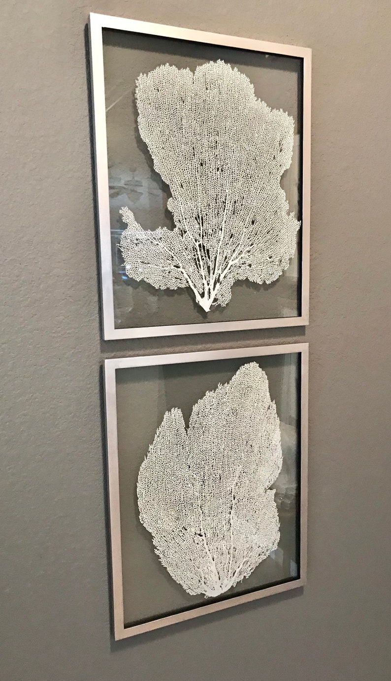 Pair 2 of Framed Sea Fans White With Custom Color Frame | Etsy