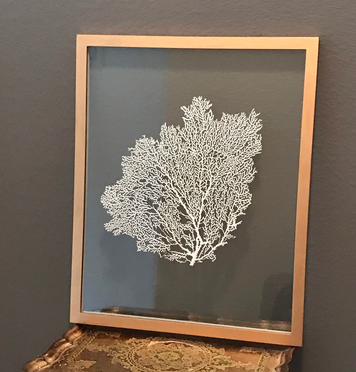 1 Framed Sea Fan White With Custom Color Frame 16x20 | Etsy