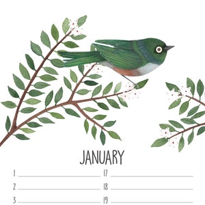 Perpetual NZ Bird Calendar - Etsy
