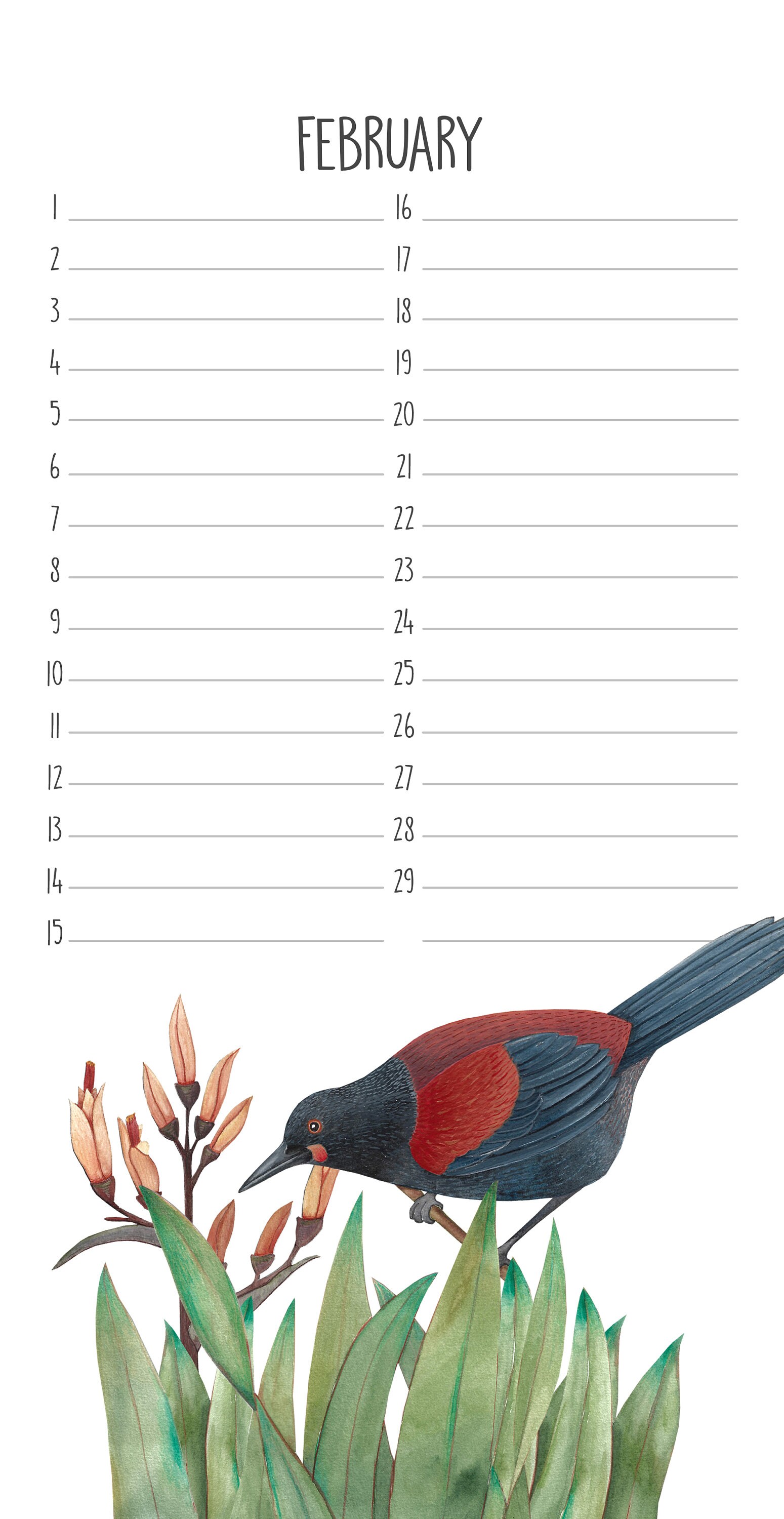 Perpetual NZ Bird Calendar - Etsy