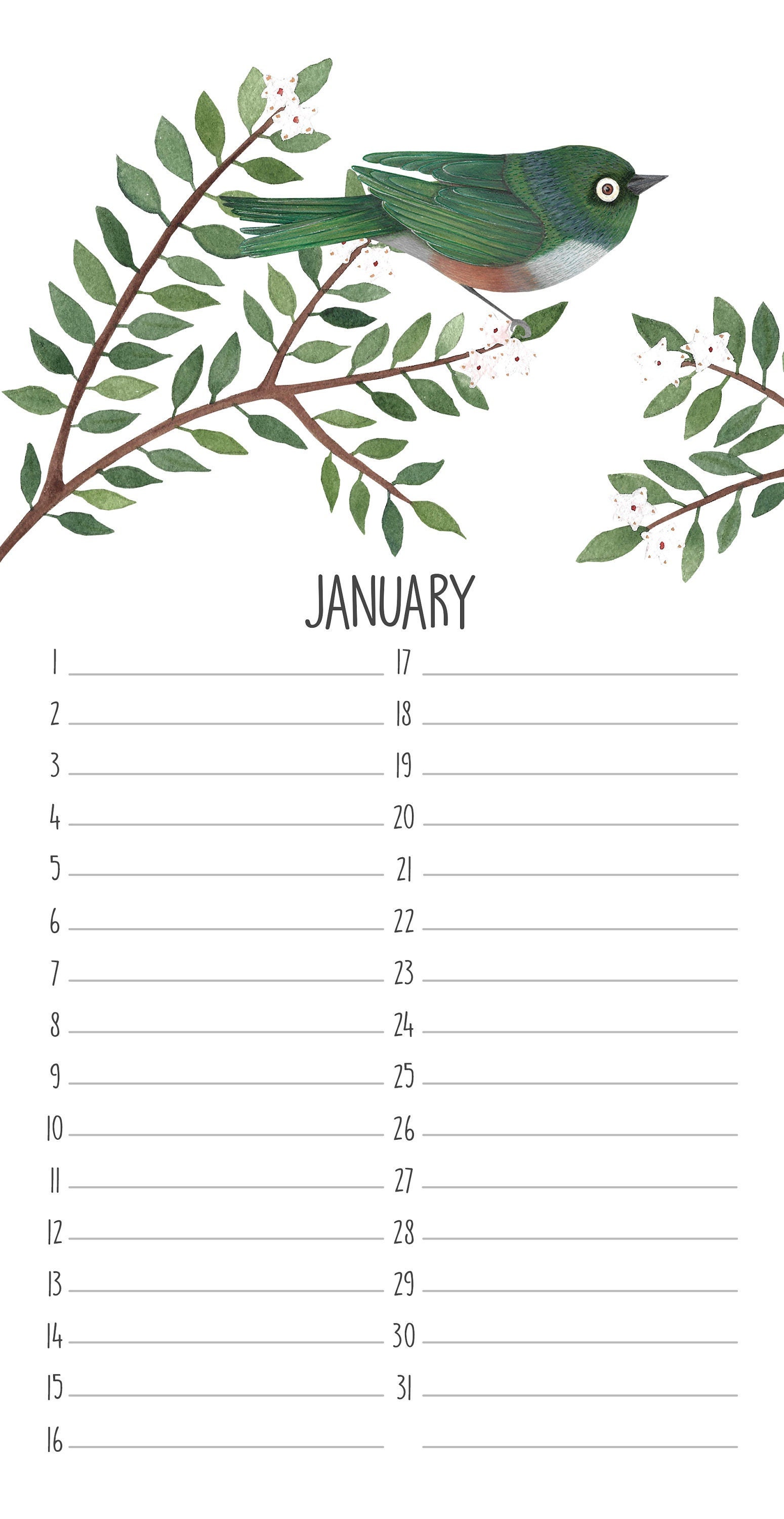 Perpetual NZ Bird Calendar - Etsy