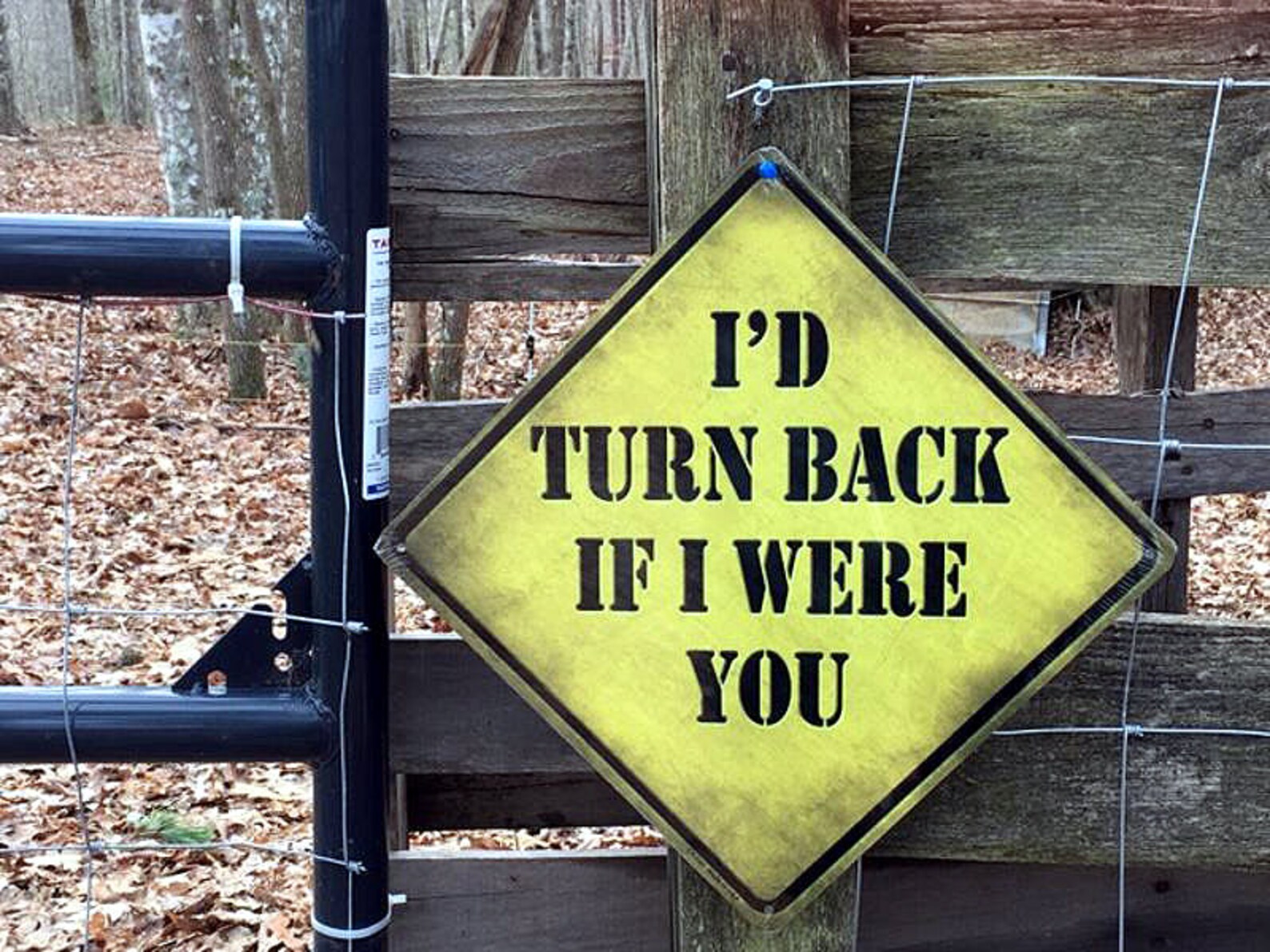 I'd Turn Back If I Were You Aluminum Sign - Etsy