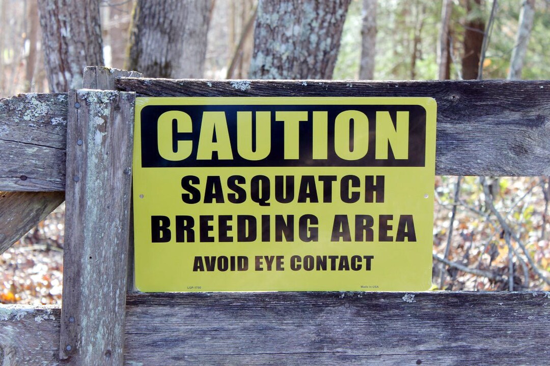 CAUTION SASQUATCH BREEDING Area Avoid Eye Contact" 18" Aluminum Sign - Etsy