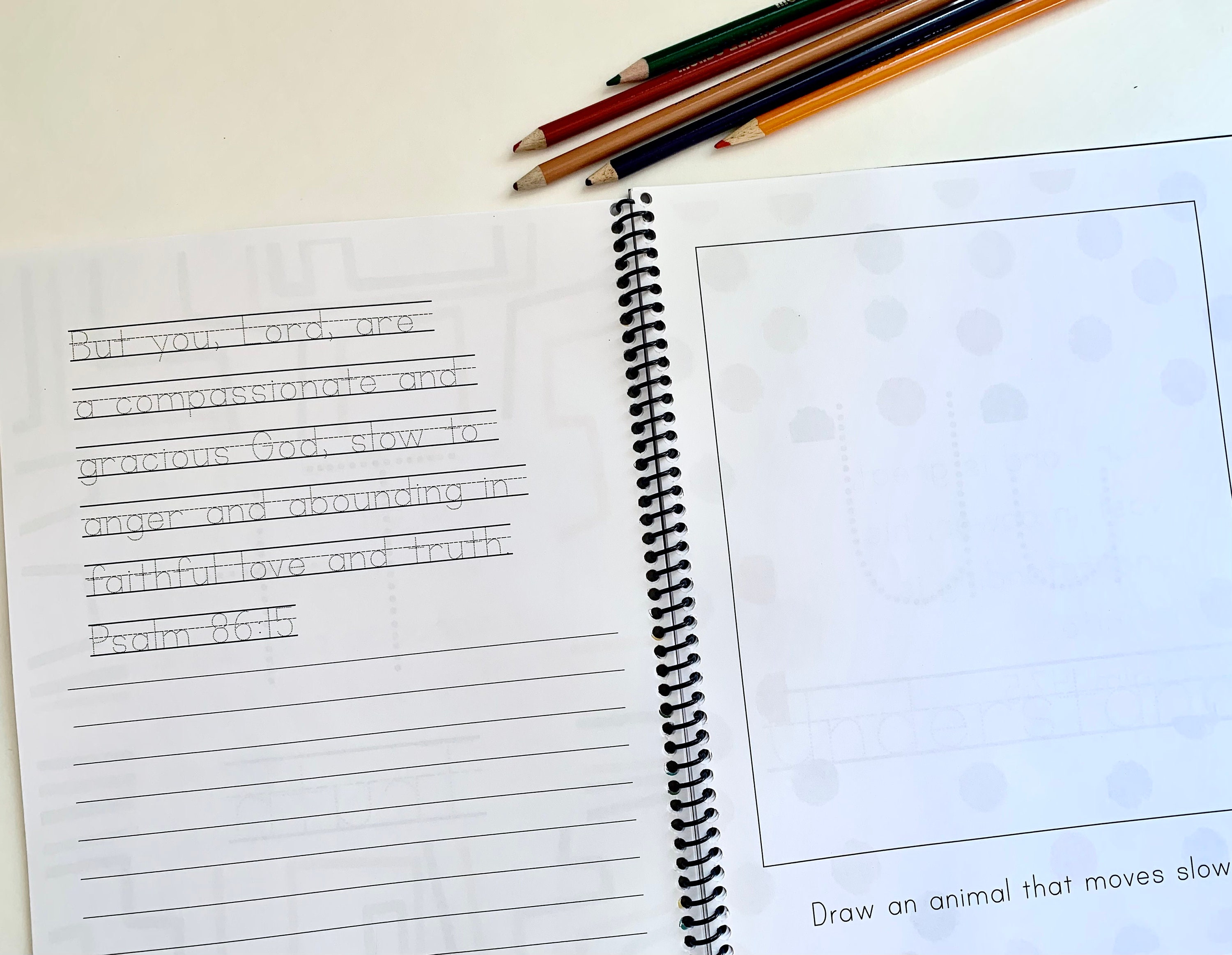 Handwriting Letter Practice Drawing and Copywork Pages - Etsy