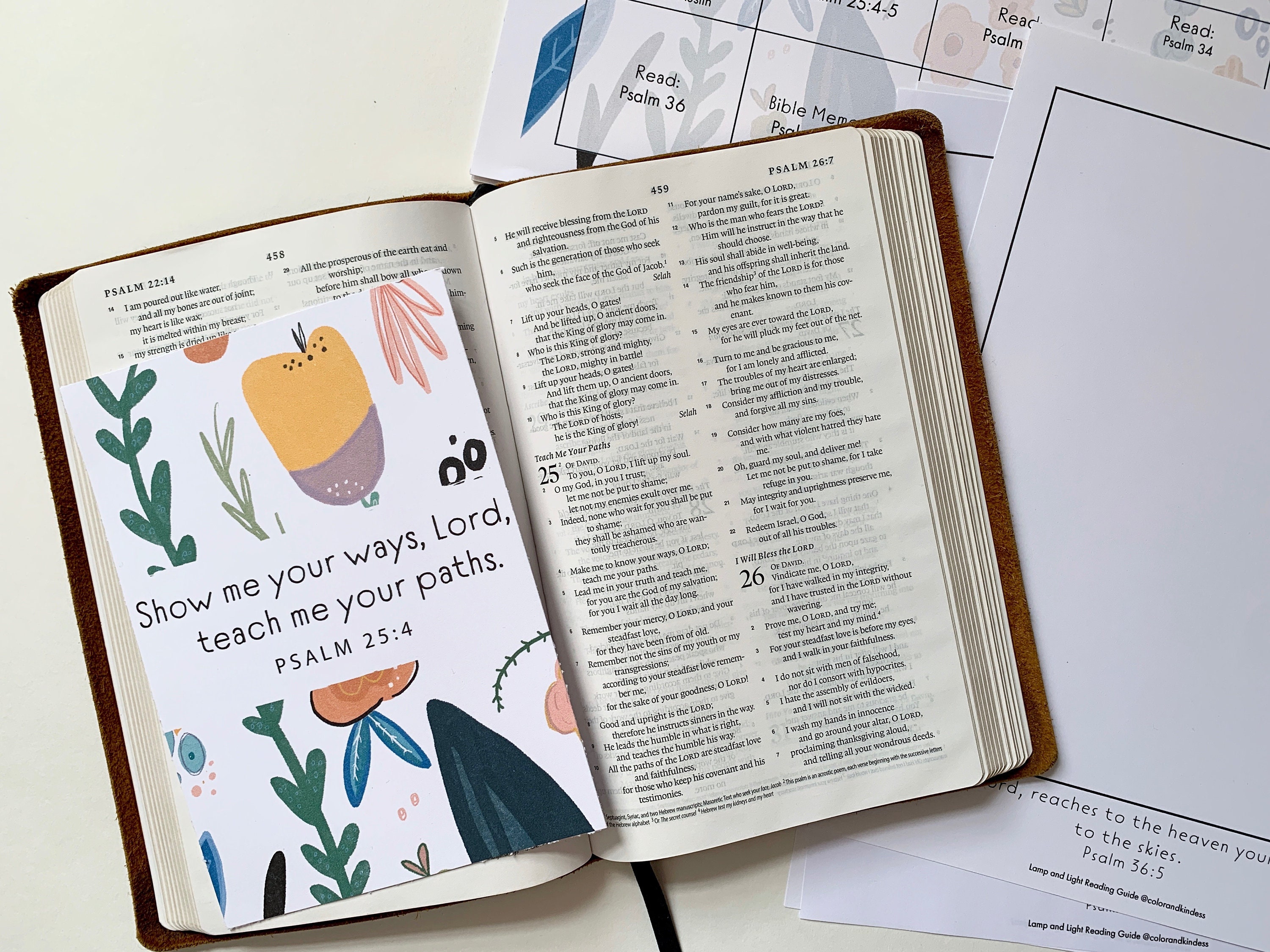 Lamp + Light Guide: Psalms Bundle — Color + Kindness