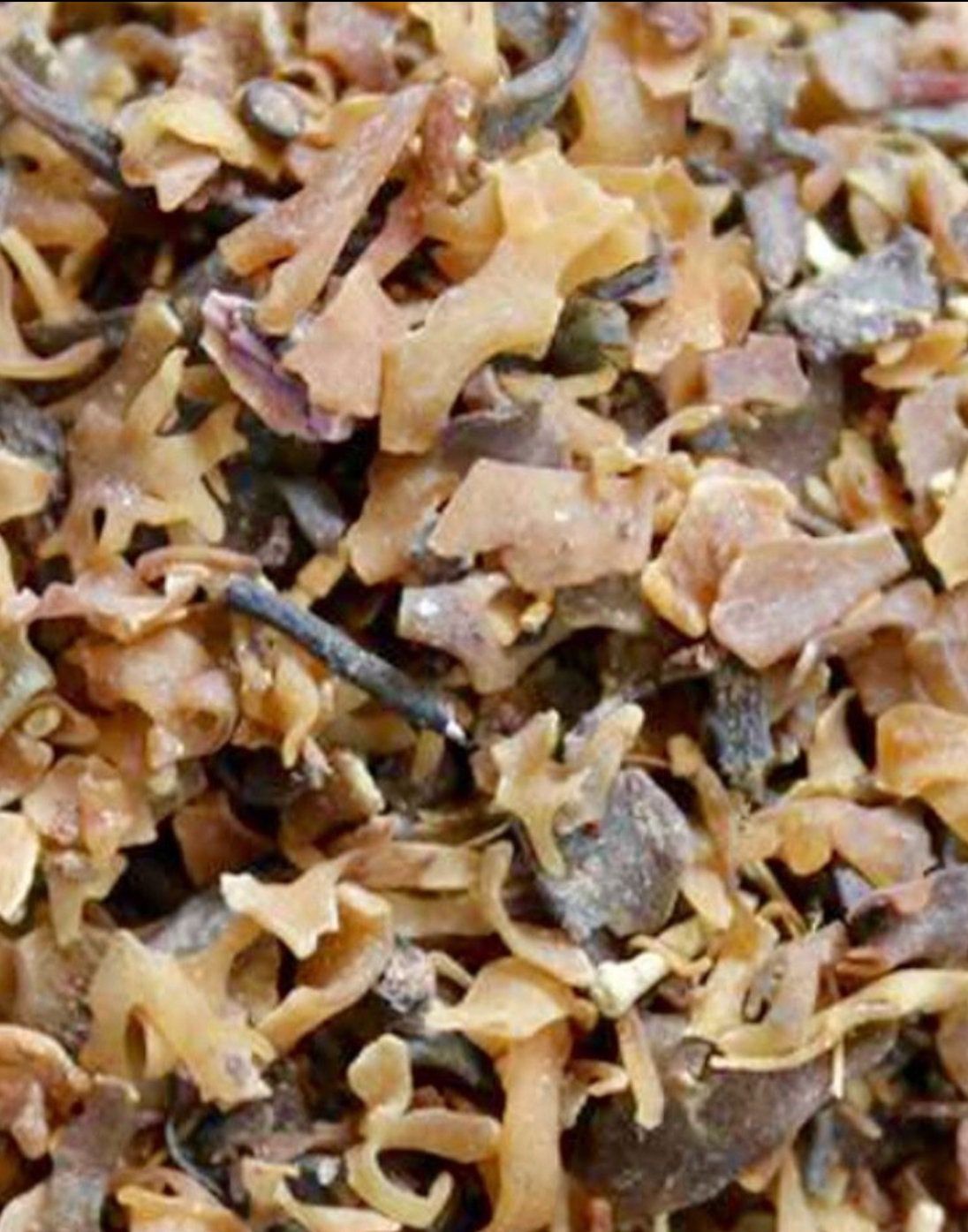 Irish Moss Chondrus Crispus Sea Moss, Carrageen Moss Wild Harvested ...