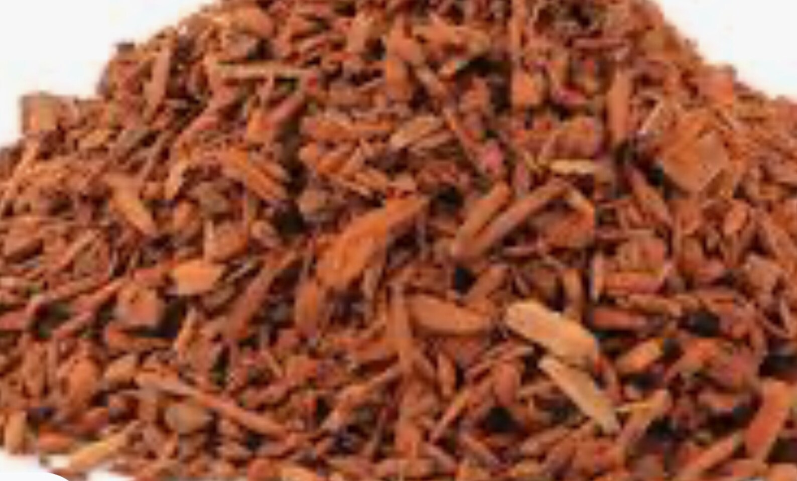 Cinchona Peruvian bark | Etsy