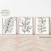 Botanical Leaves Set of 3 PRINTABLES, Large Minimalist Boho Leaf Plants ...