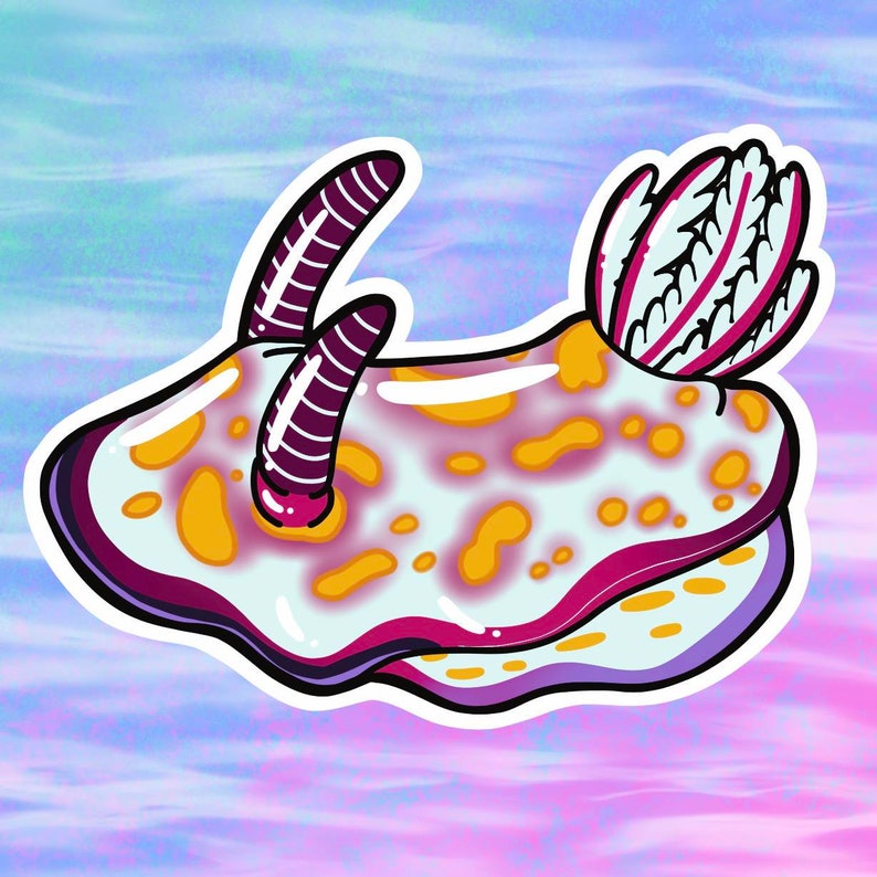 Nudibranches Sea Slugs Vinyl Stickers/decals: Blue Sea Dragon - Etsy Canada
