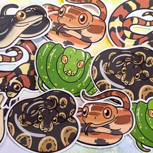 Snakes Vinyl Stickers/decals: Ball Python, Black Rat Snake, Corn Snake ...