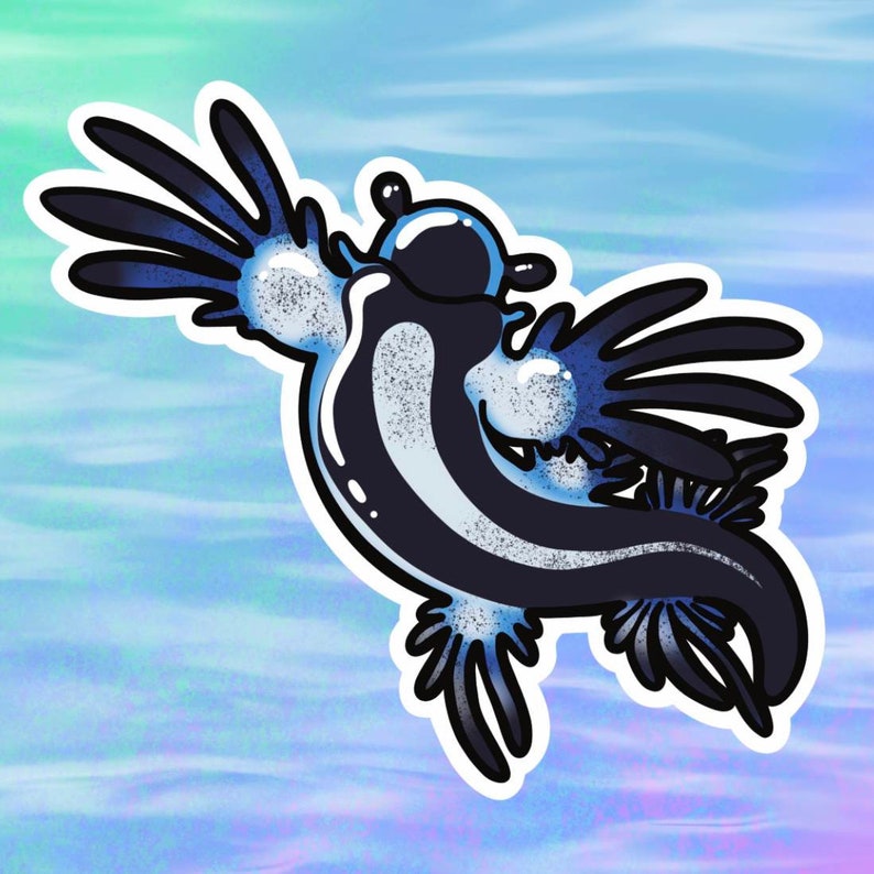 Nudibranches Sea Slugs Vinyl Stickers/decals: Blue Sea Dragon - Etsy Canada