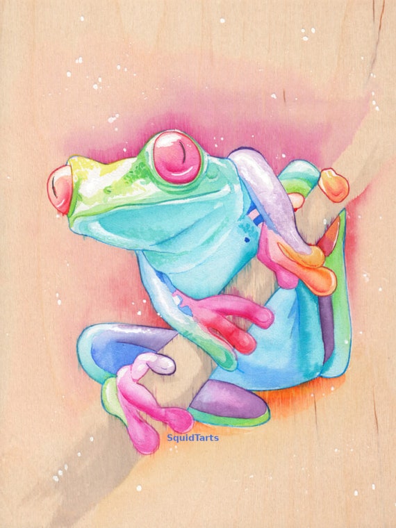 Rainbow Tree Frog